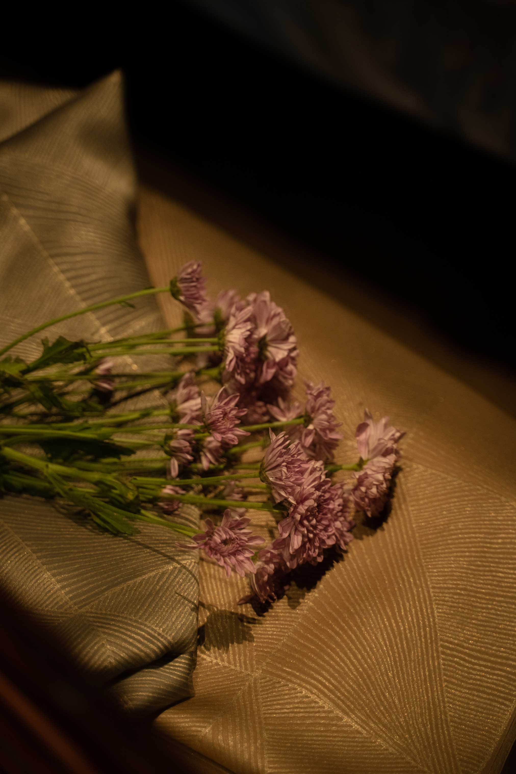 KEYAH®: Contemporary Saree Brand | Festive Sarees | Bridal Sarees